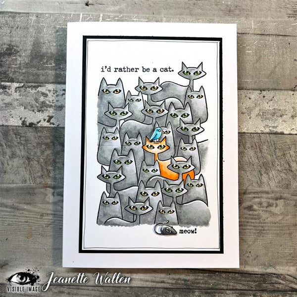 Visible Image - A6 - Clear Polymer Stamp Set - CAT-TASTIC Background ...